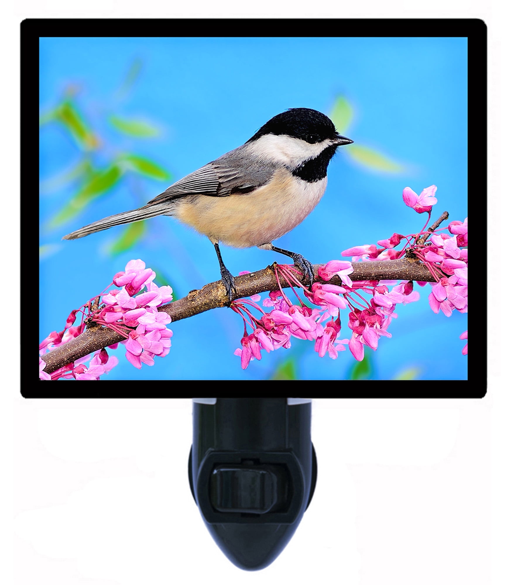 Night Light - Spring Chickadee. | Bird Theme, Includes Free Switchable ...