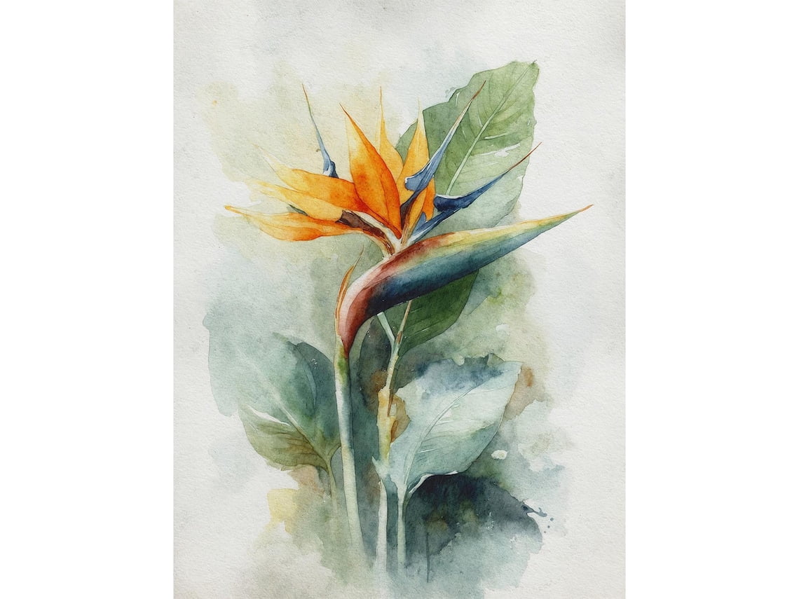 Bird Of Paradise Flower Print, Tropical Wall Art, Unframed Paper Poster ...