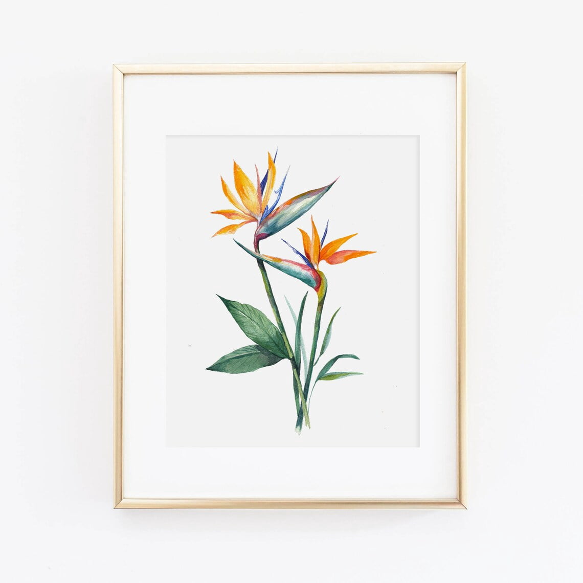 Bird Of Paradise Print, Tropical Floral Wall Art, Unframed Paper Poster ...