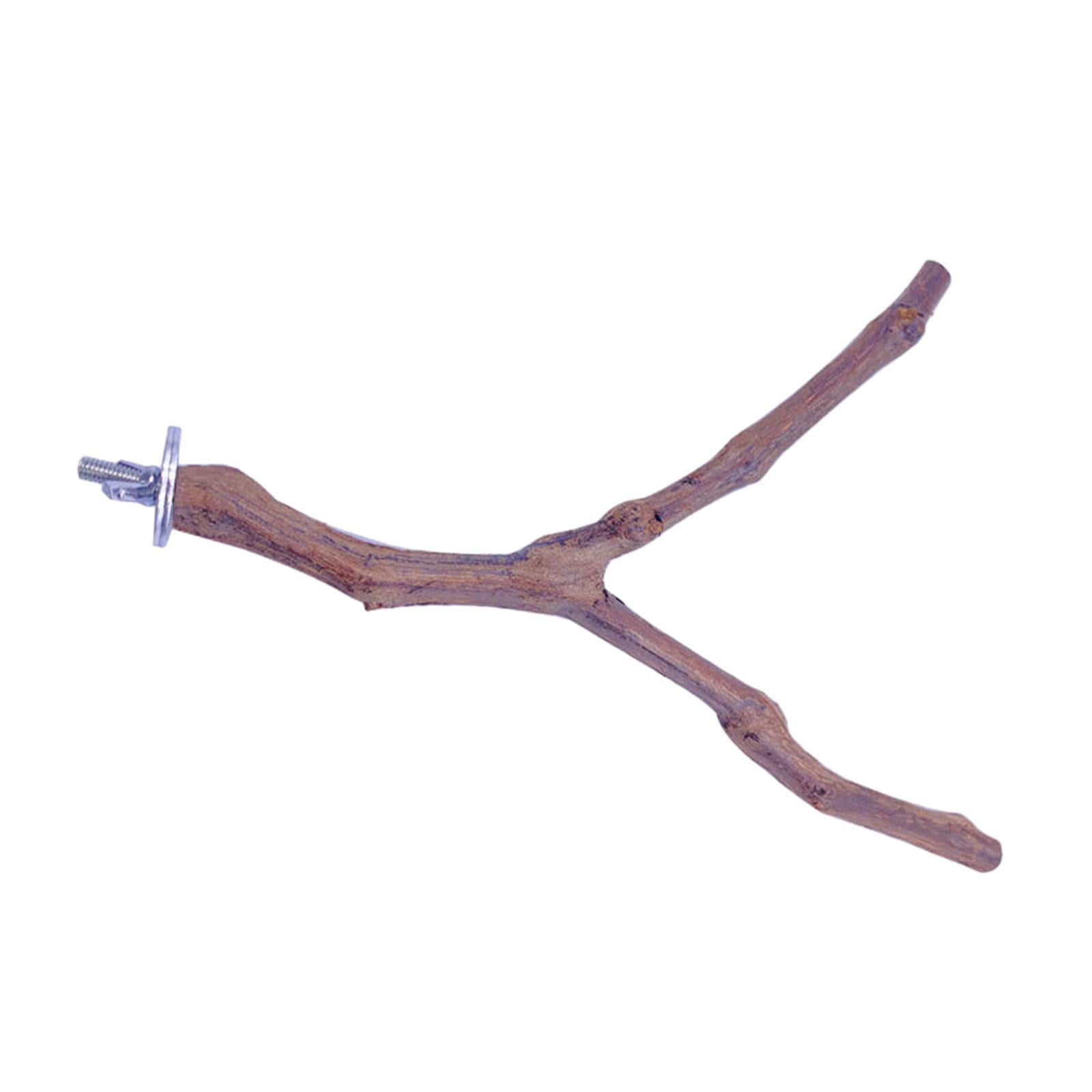 Bird Perch Bird Standing Grape Sticks Wood Climb Standing Chewing ...