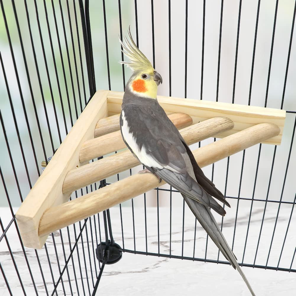Bird Perch Corner Platform Stand Shelf for Birds Budgie Parakeet ...