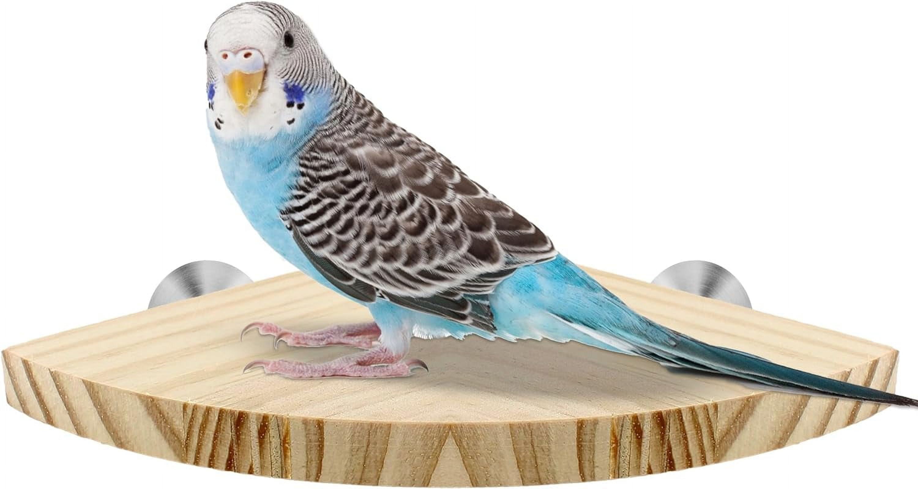 Bird Perch Corner Stand for Bird Cage Corner Platform Wood Bird Perches ...