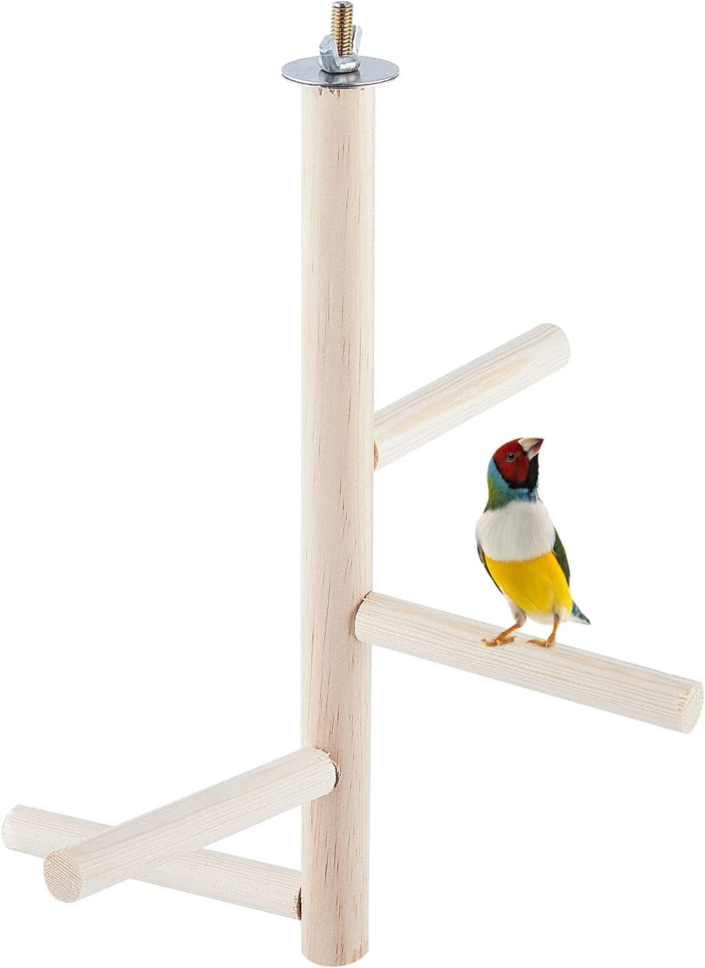 Bird Perch Natural Wood Top Wooden Branches Branches Stand Toys Bird ...