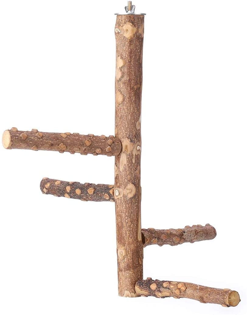 Bird Perch Nature Wood Stand for 3-4pcs Small Medium Parrots (M ...