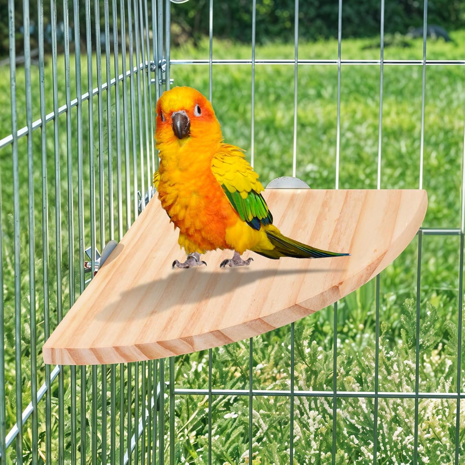 Bird Perch Platform Stand Wooden Parrot Perch Corner Fan Shape ...