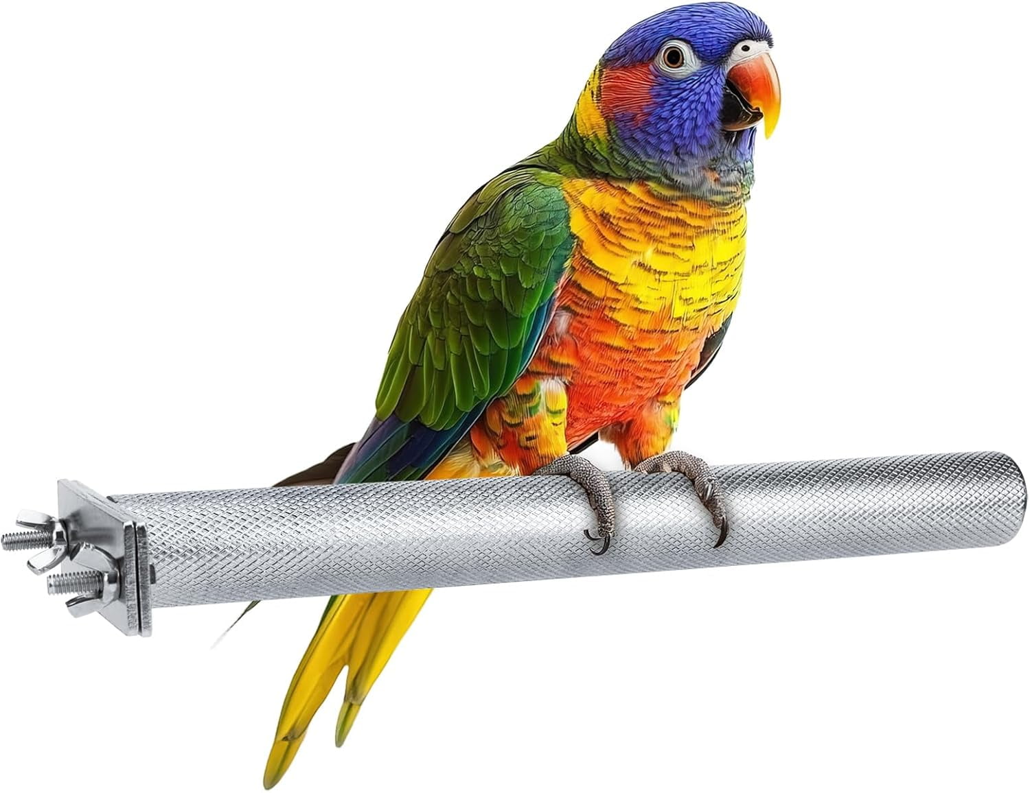 Bird Perch - Stainless Steel Heavy Duty Cage Mount Perch Stand with ...