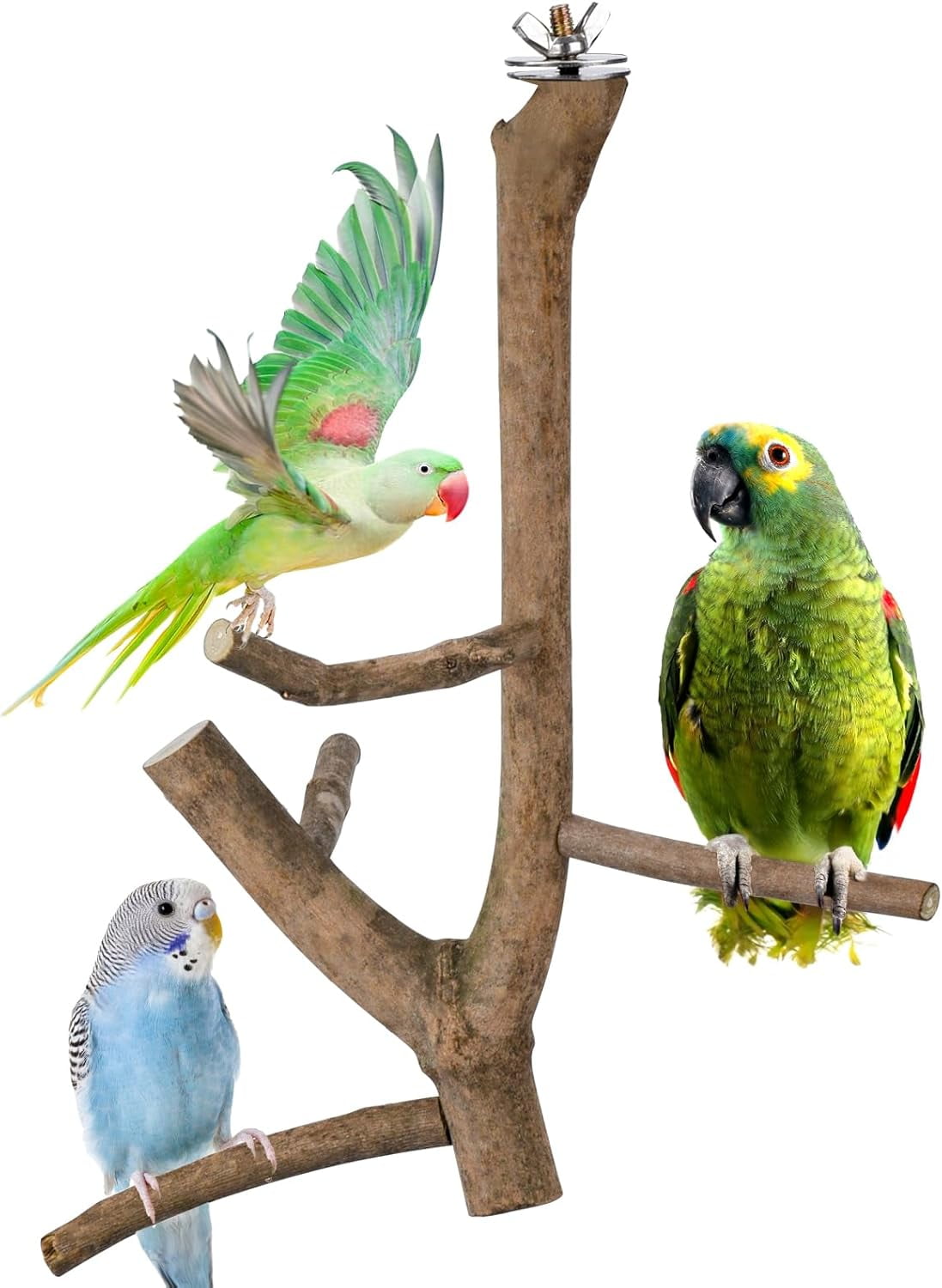 Bird Perch Stand, Natural Vitex Negundo Wood Parrot Perch Bird Cage ...