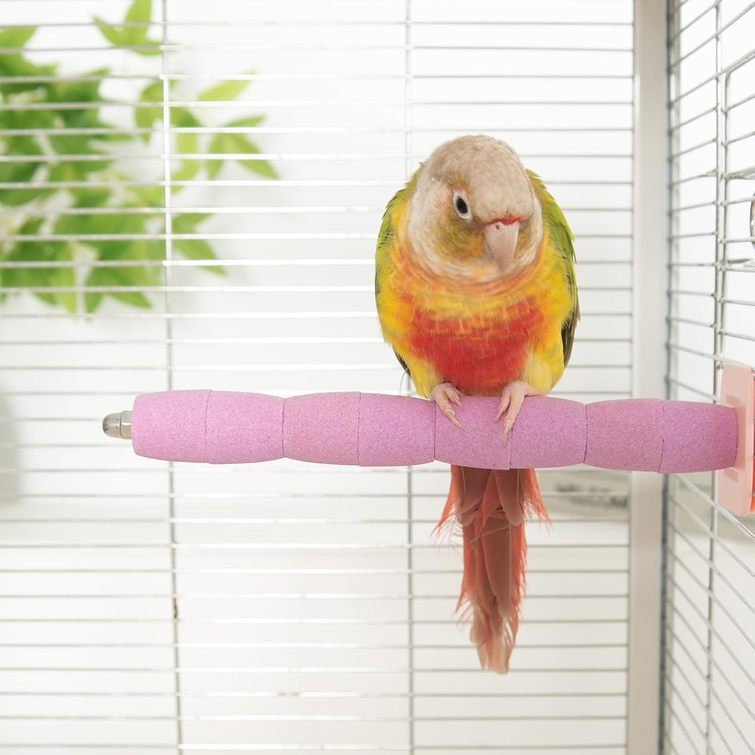 Bird Perch Stand Toy – Abrasive Surface Ceramic Paw Grinding Stick ...