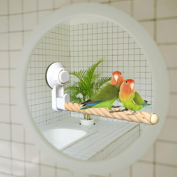 Bird Perch With Suction Cup, Wooden Parrot Stand, Shower and Window ...