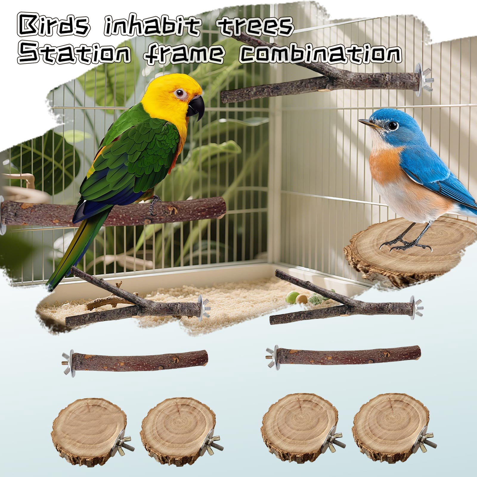 Bird Perches for Cage, Natural Wood Parrot Perch Stand, Multi-Branch ...