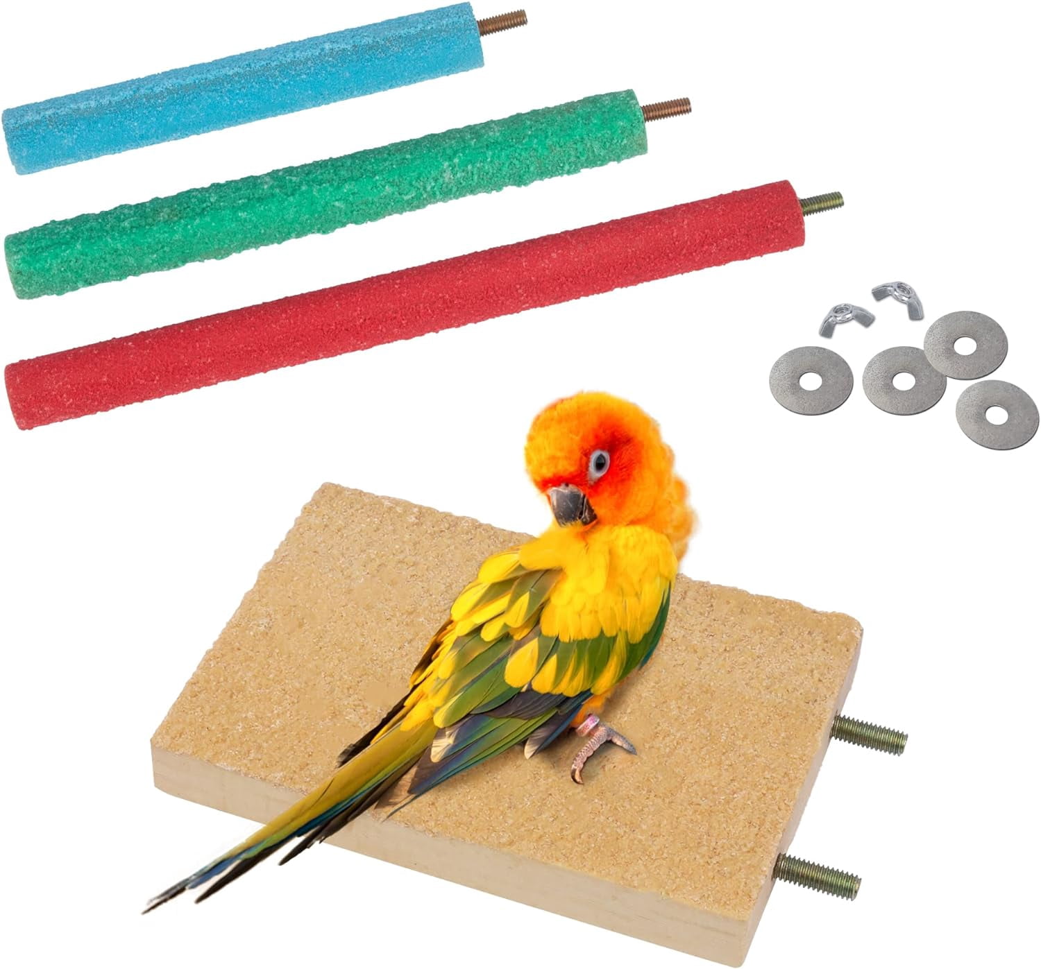 Bird Perches for Conure Stand Natural Wood Platform Bird Nail Trimming ...