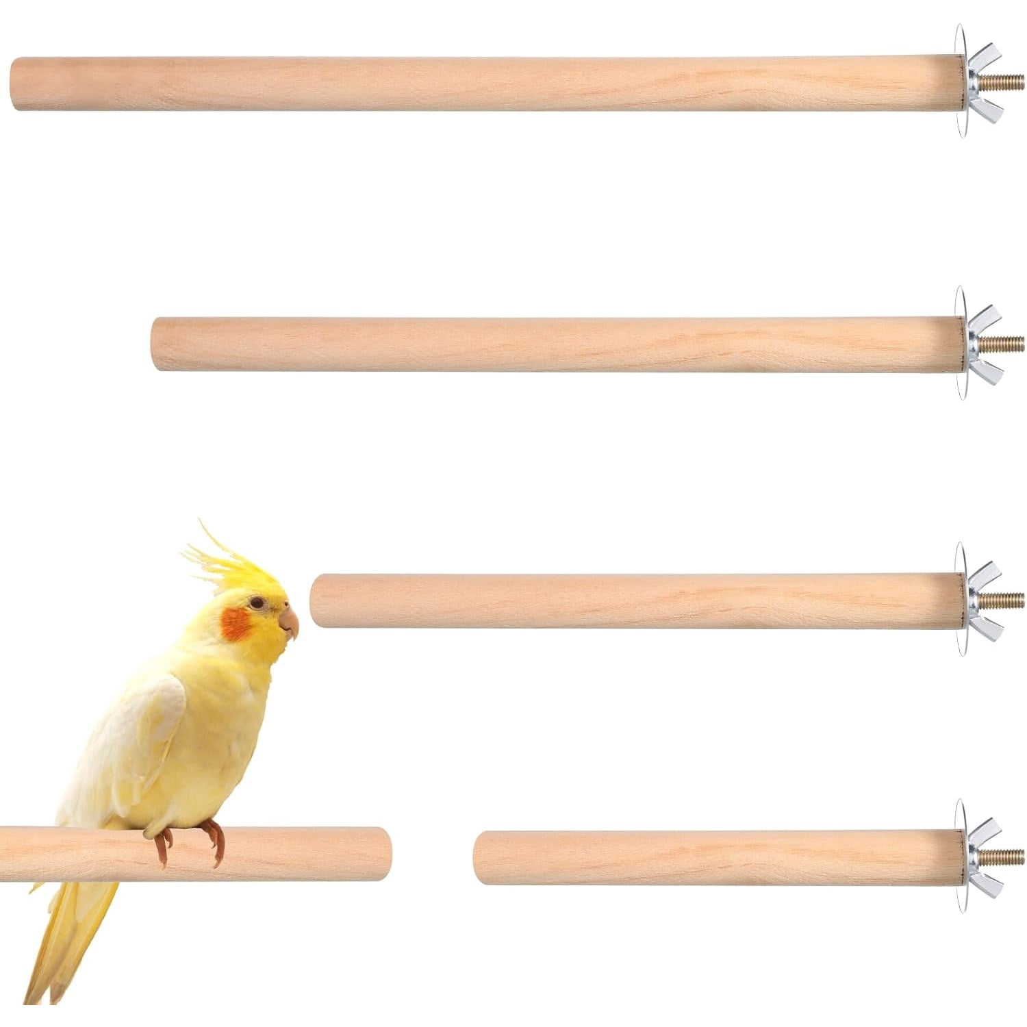 Bird Perches for Cage Parrot Parakeet Wooden Stand Toy 4 Pcs - Walmart.com
