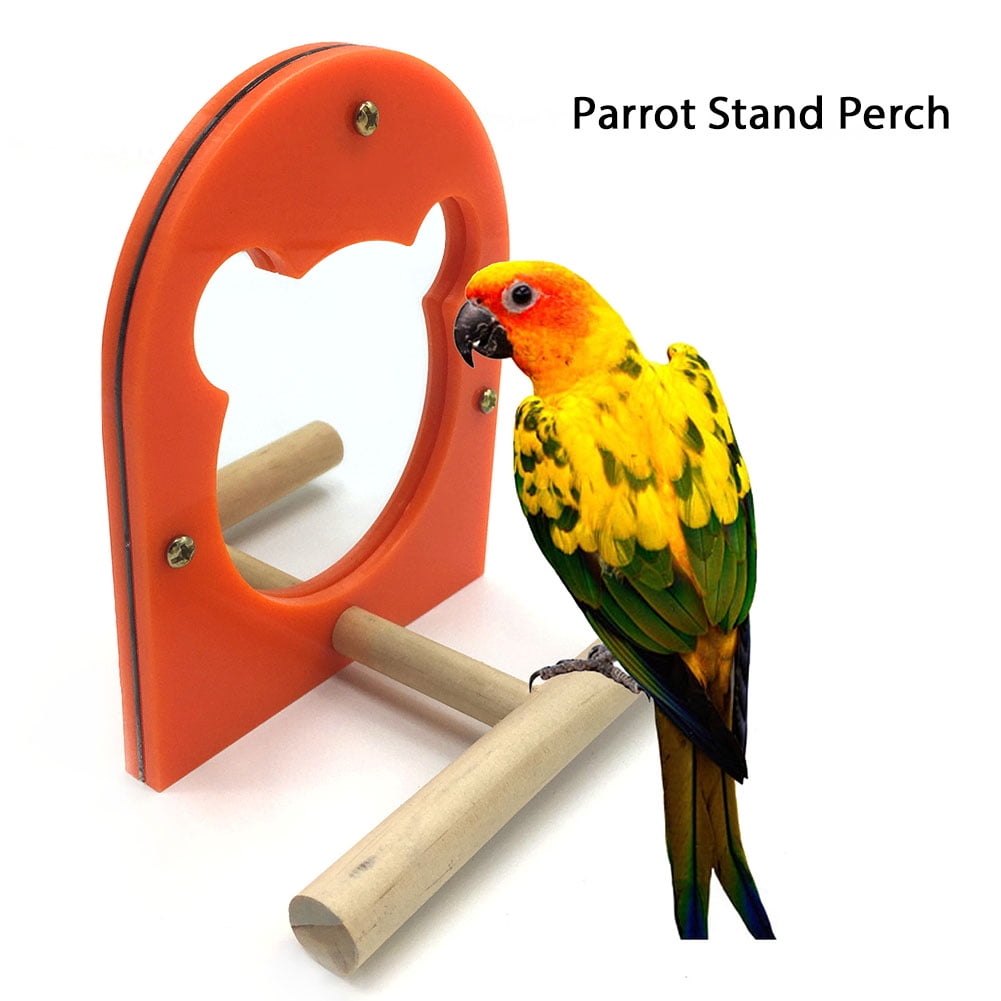 Bird Play Stand Wooden Parrot Stand Perch Rack with Mirror Bird ...