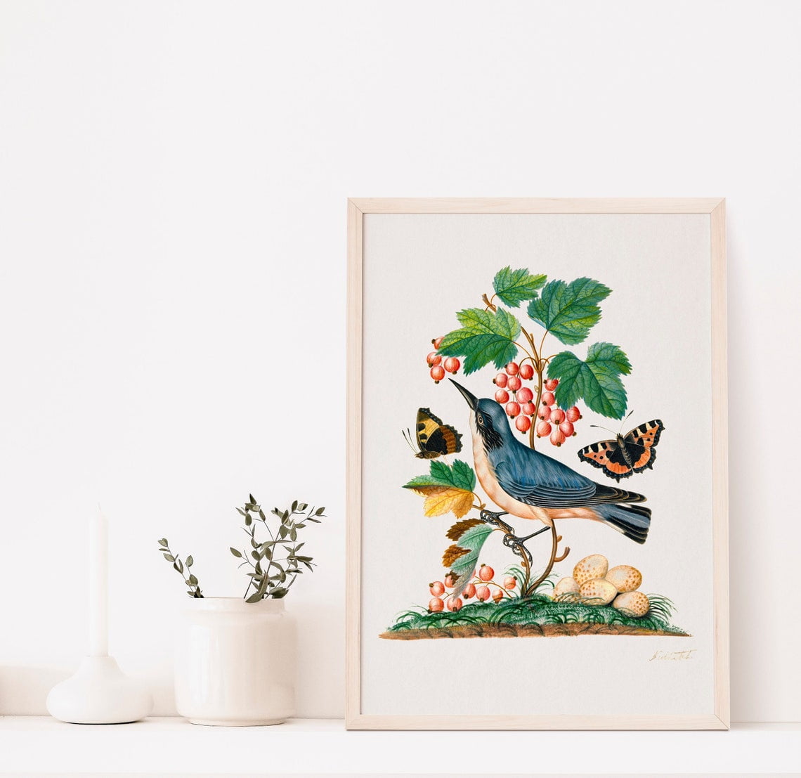 Bird Poster, James Bolton Poster, Butterfly Wall Art, Bird ...