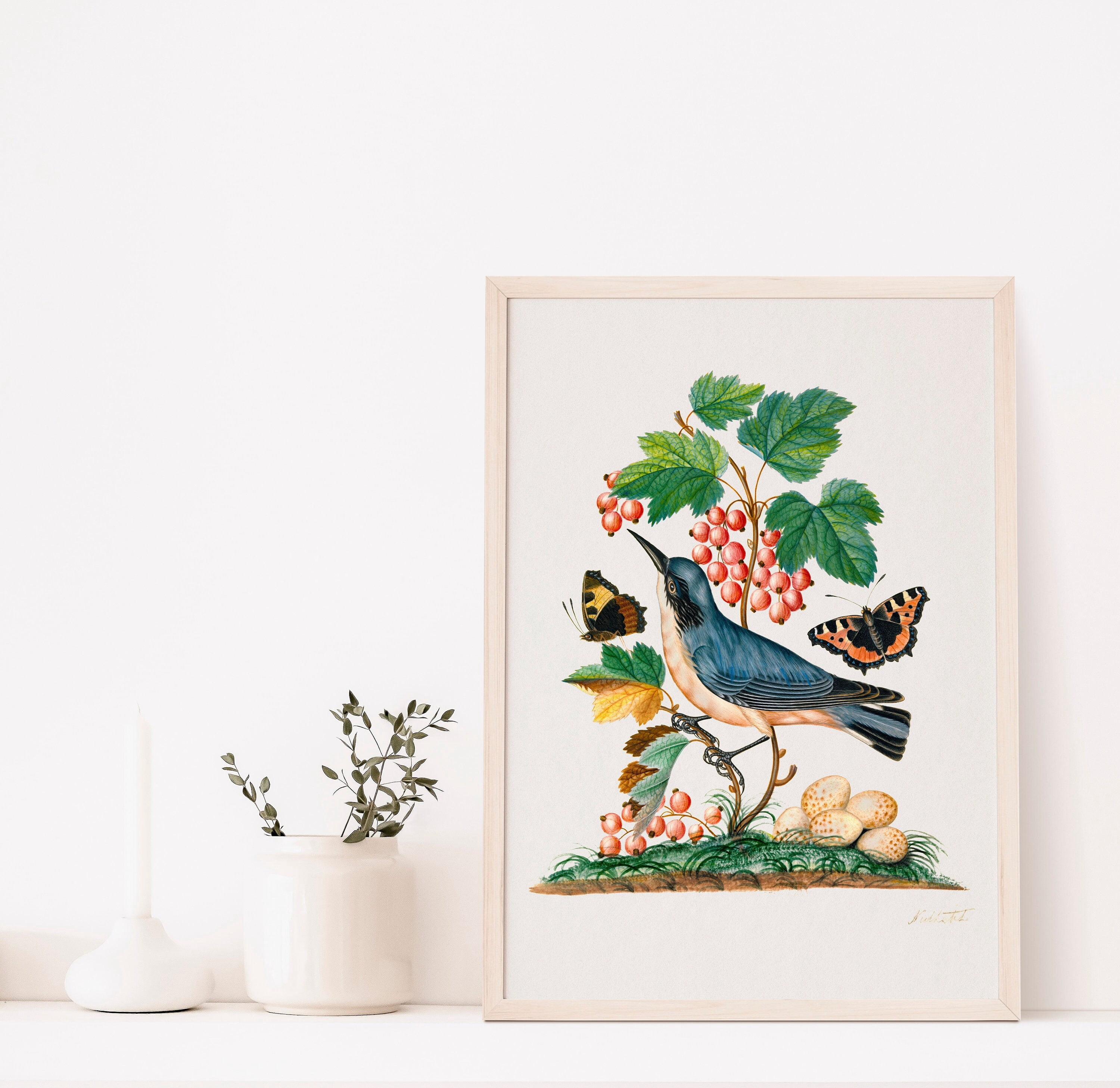 Bird Poster Print James Bolton Print Butterfly Wall Art Bird ...