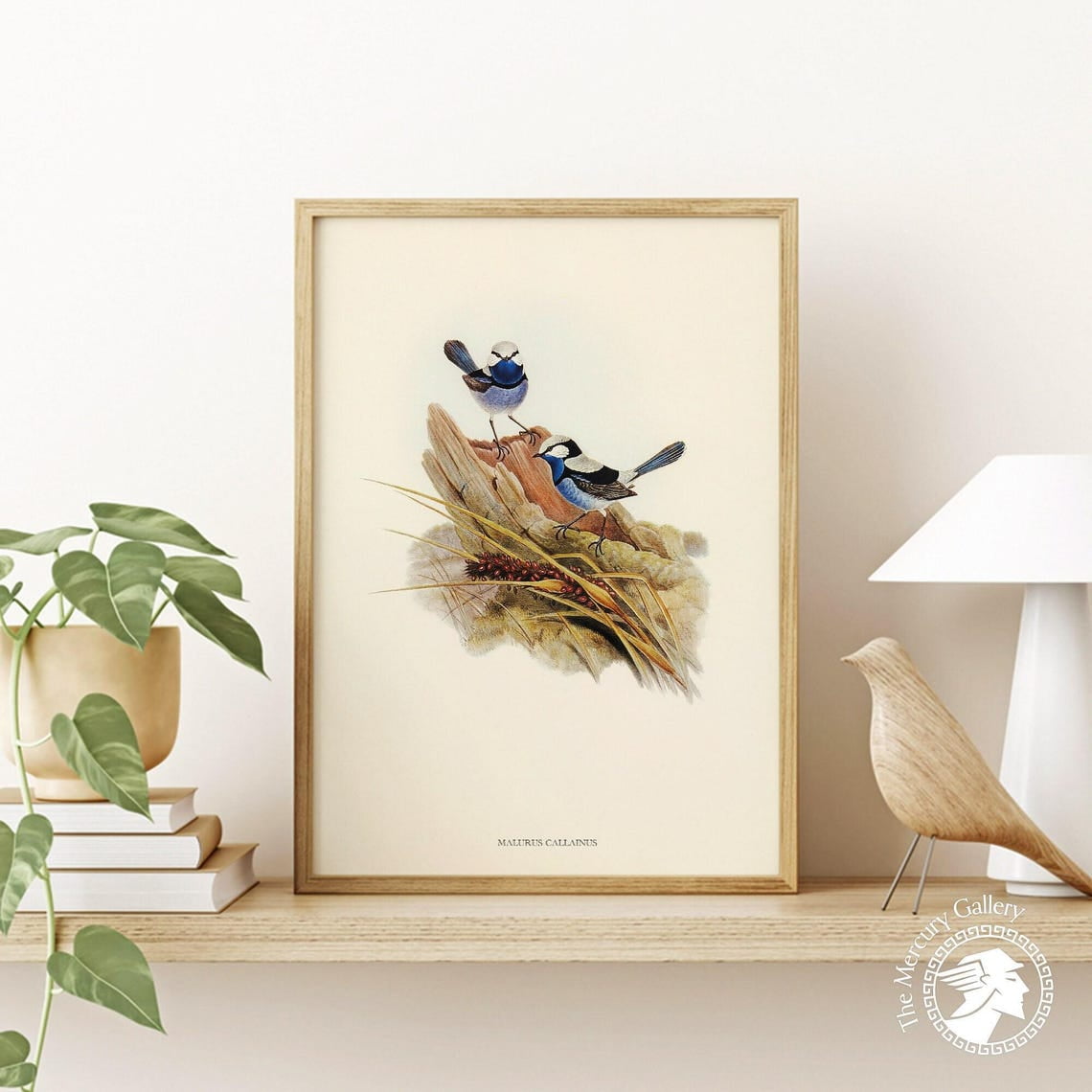 Bird Poster, Turquoisine Superb Warbler Art Print, Elegant Living Room ...