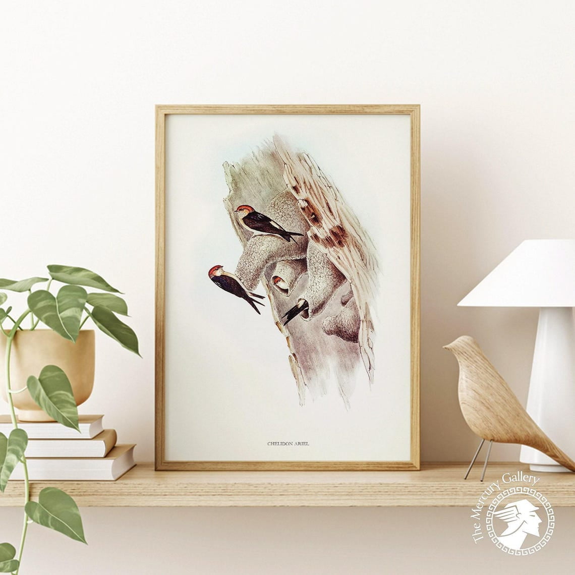 Bird Poster, Vintage Ornithology Art Print, Kitchen Wall Decoration ...