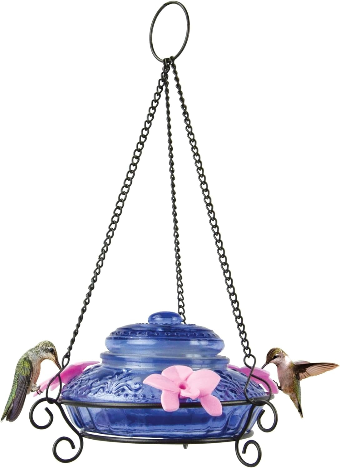 Bird Products DGHF-ALSF Hummingbird Lemonade Stand Feeder - Walmart.com