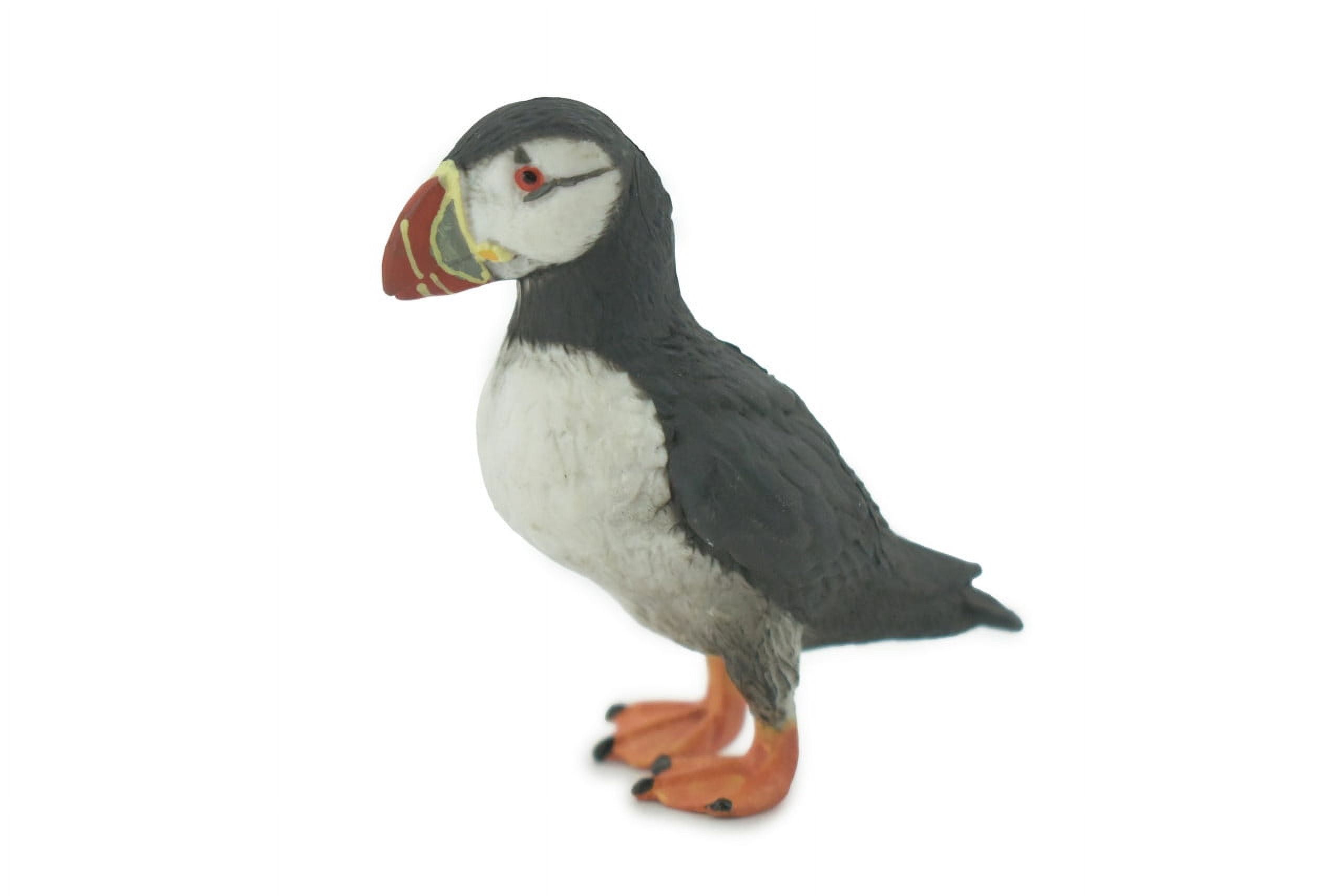 Bird, Puffin, Auks, Pelagic seabirds, Museum Quality, Rubber, Hand ...