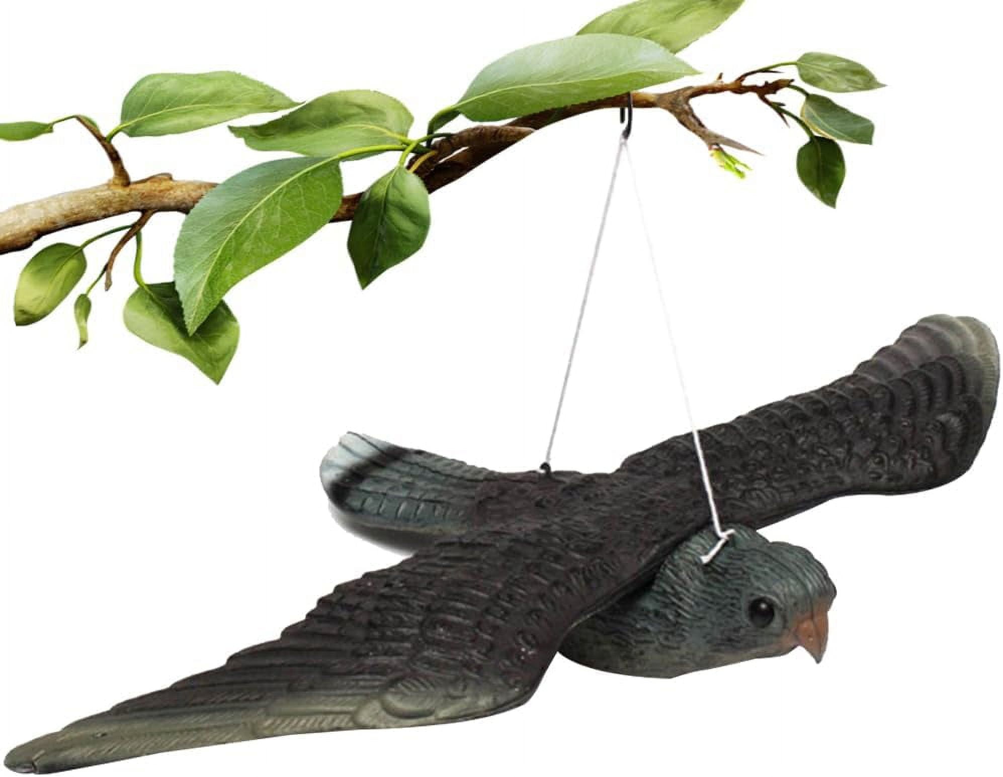Bird Repellent, Fake Scarer Lifelike Flying Decoy Bird Deterrent with ...