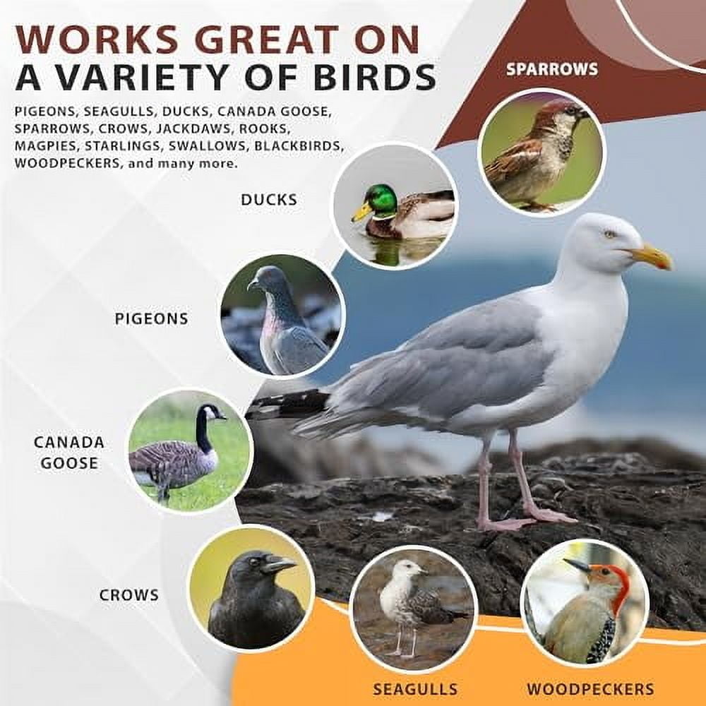 Bird Repellent Spray Bundle, Ready to Use Bird Spray 32oz + Concentrate ...