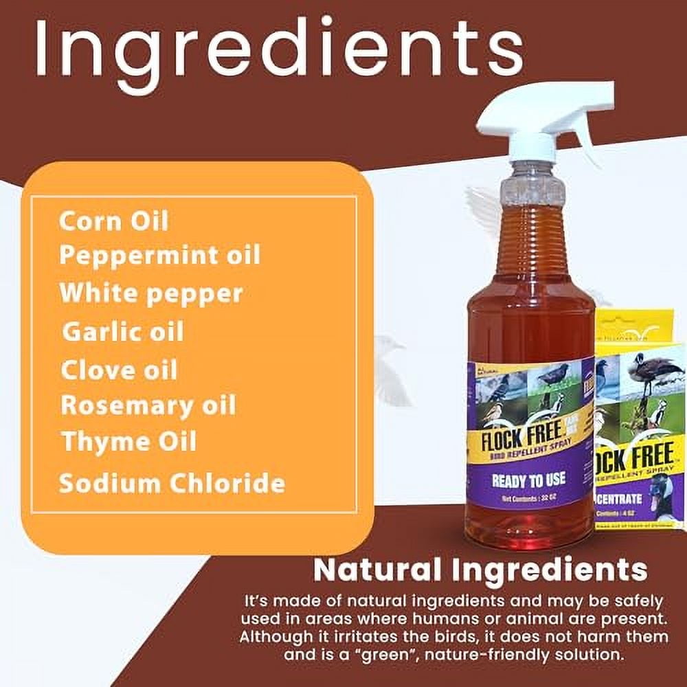 Bird Repellent Spray Bundle, Ready to Use Bird Spray 32oz + Concentrate ...