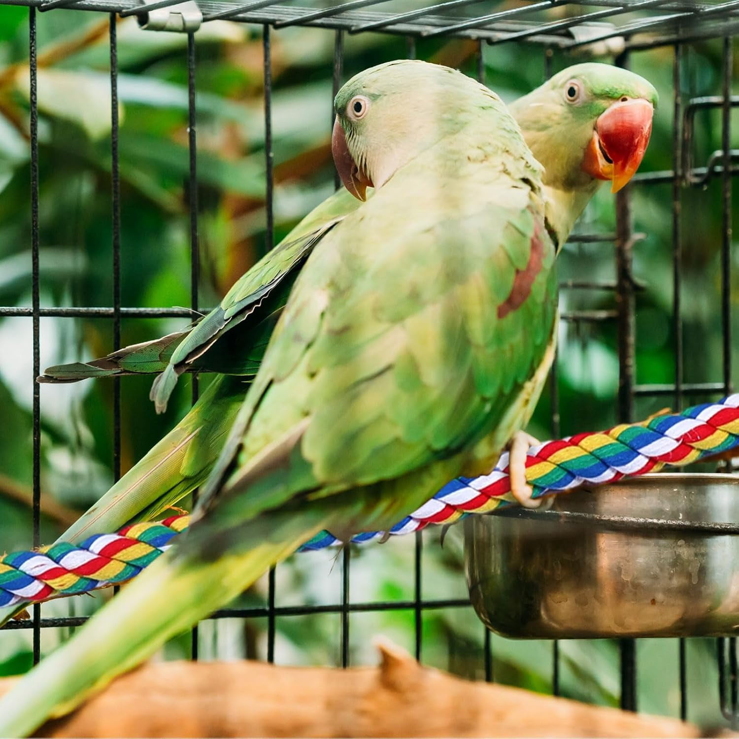 Bird Rope Perch and Swing, Spiral Ladder for Cockatiels, Parrot Swing ...