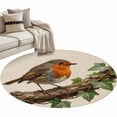 Bird Round Rug 3ft Washable Circle Entryway Rugs Non Slip Ivy Branch ...