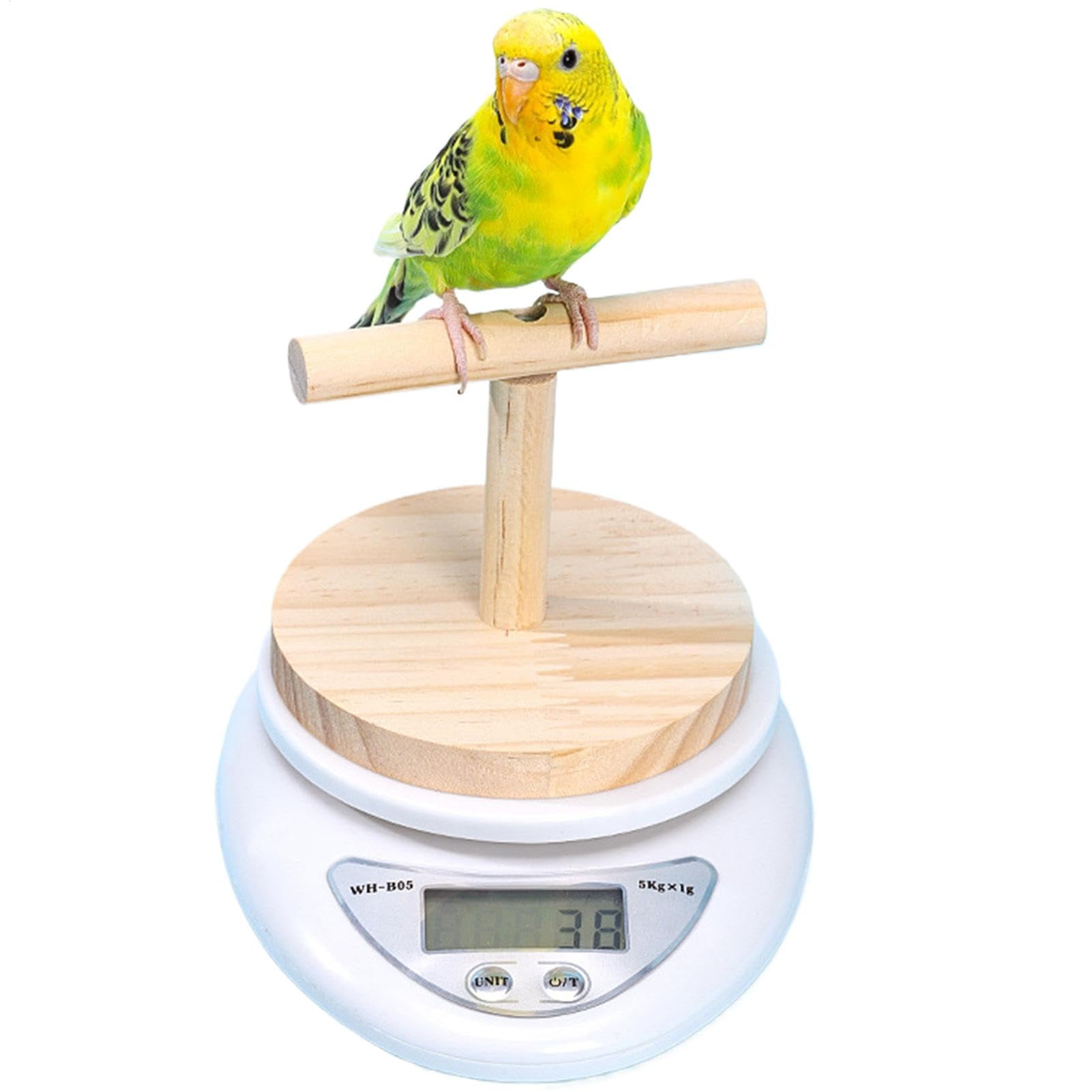 Bird Scale - Pet Scale for Birds | Birds Weight Scale for Parrots ...