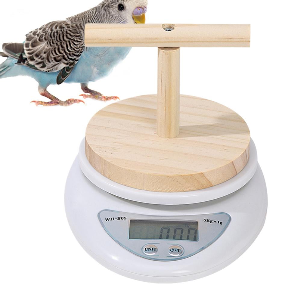 Bird Scale, Small Animal Scale with Perch for Pet Bird, High Accuracy ...
