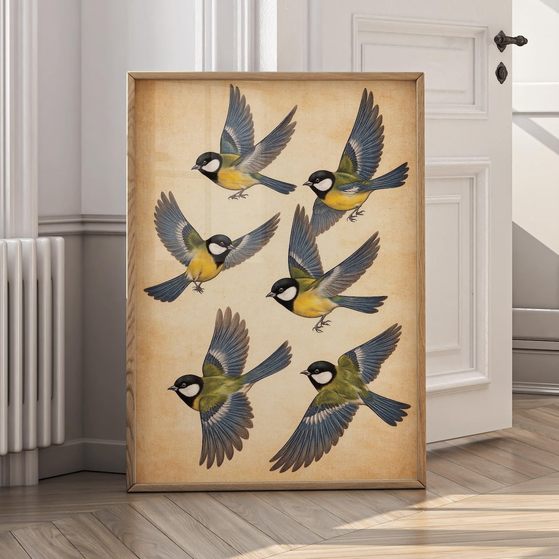 Bird Set Vintage Bird Illustration Flying Birds Nature Botanical Animal ...