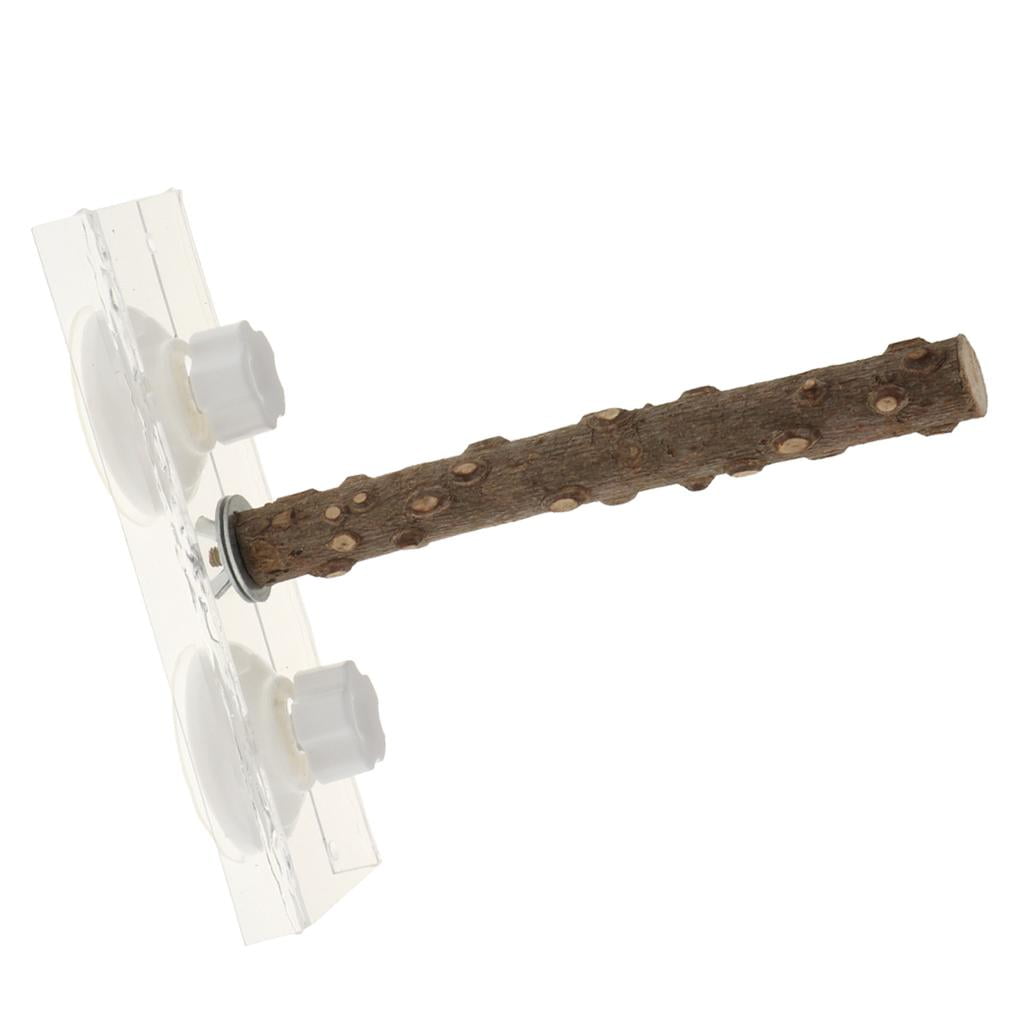 Bird Shower Bath Perches with Sturdy Suction Parrots Parakeet Standing ...