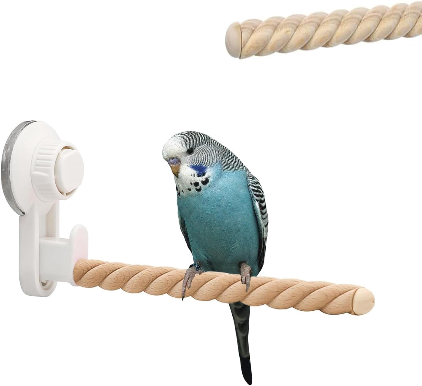 Bird Shower Perch with Suction Cup, Bird Perch, Natural Wood Parrot ...