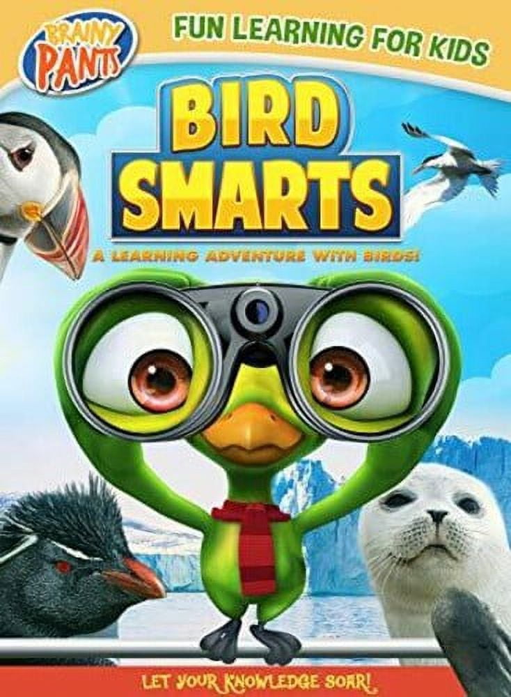 Bird Smarts (DVD), Wownow Entertainment, Animation - Walmart.com