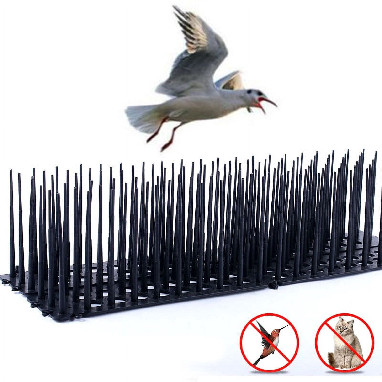 Bird Spikes Fence Cat Defender Plastic Fence Wall Spikes For Keep Off ...