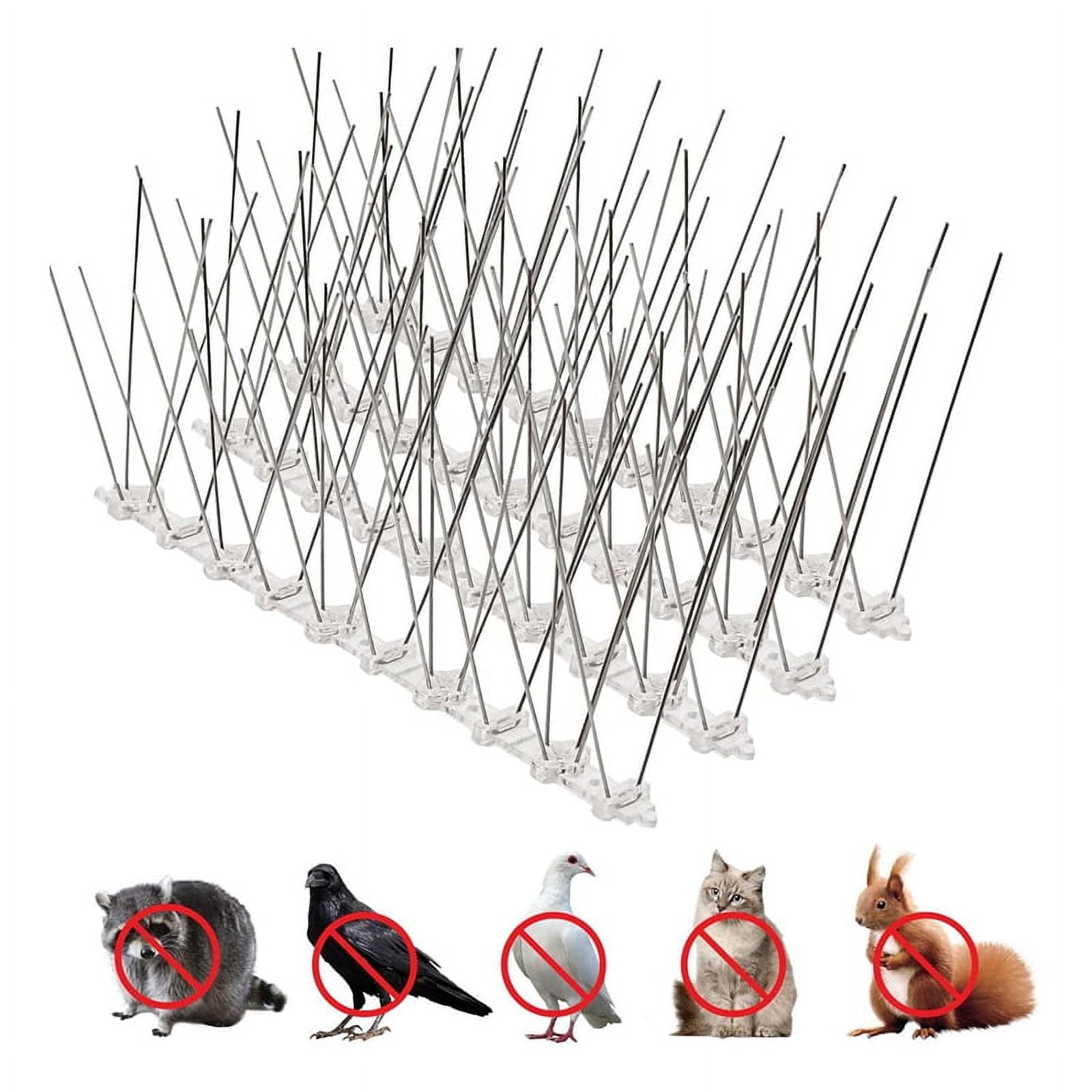 Bird Spikes for Pigeons Small Birds: Anti-Bird Nest Fence Spike Deterring Birds, Crows, Smooth ...