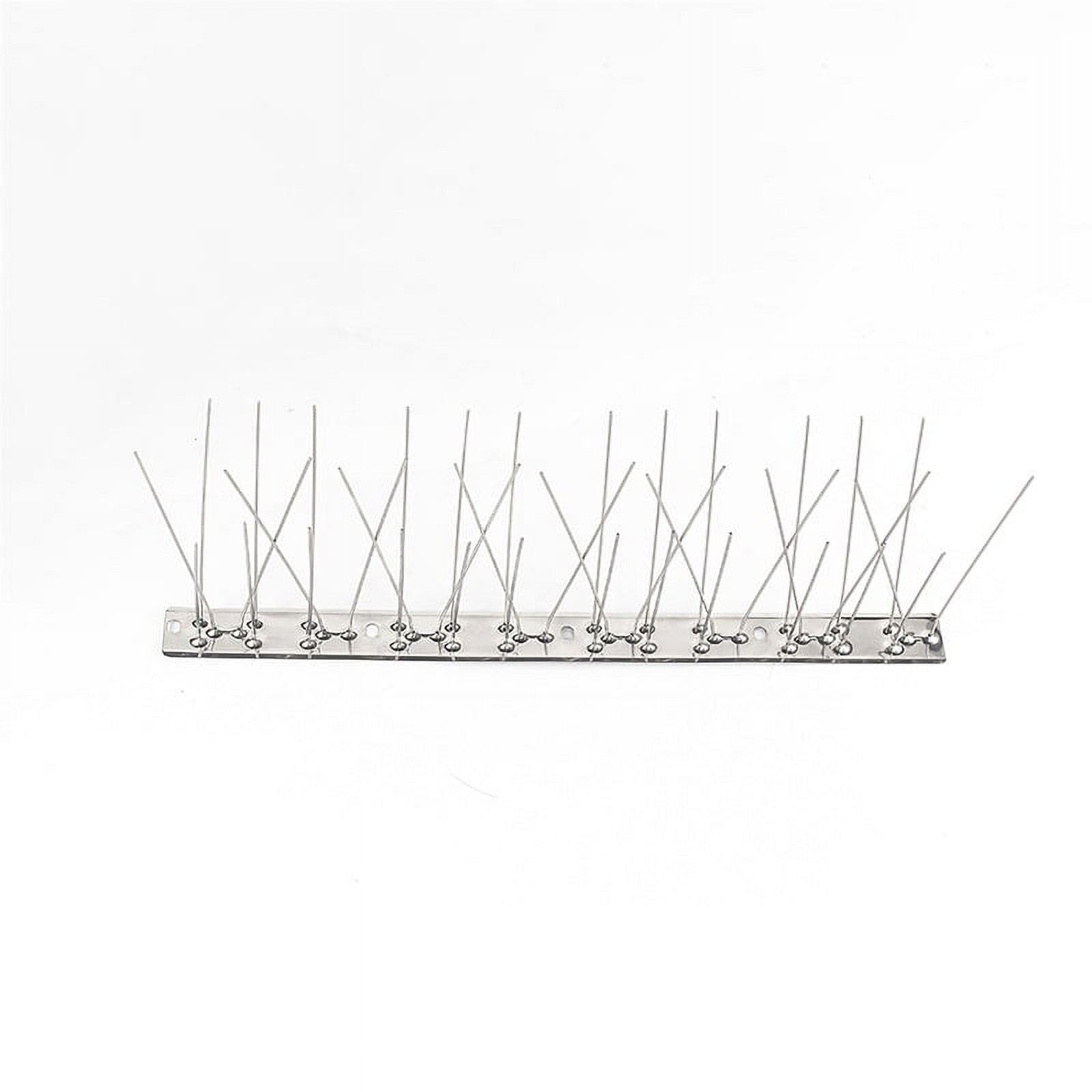 Bird Spikes for Pigeons Small Birds Anti Bird Spike Metal Bird Deterrent Spikes Stainless Steel ...