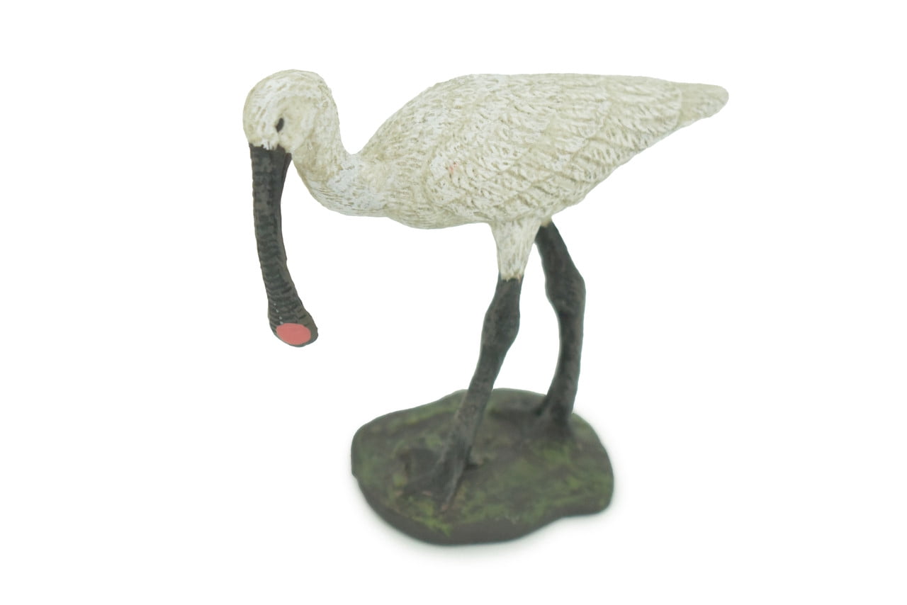 Bird, Spoonbill, White, Very Realistic, Museum Quality, Hand Painted ...