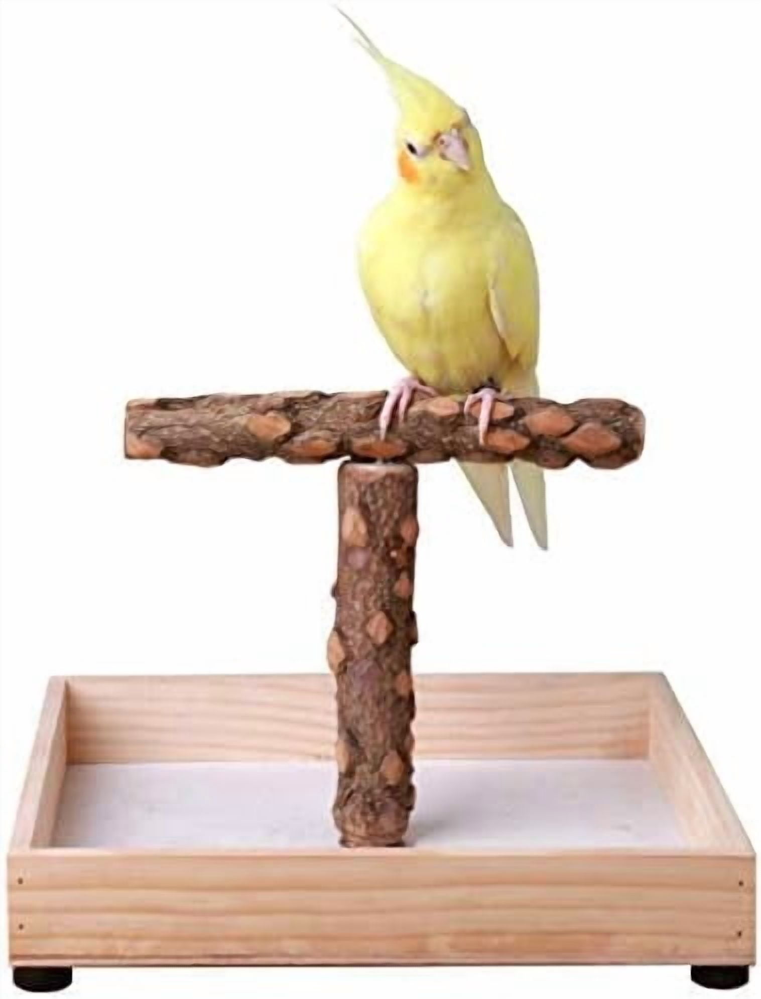 Bird Stand Tabletop,Portable Tee Stand, Parrot Play Stand Perch Gym for ...