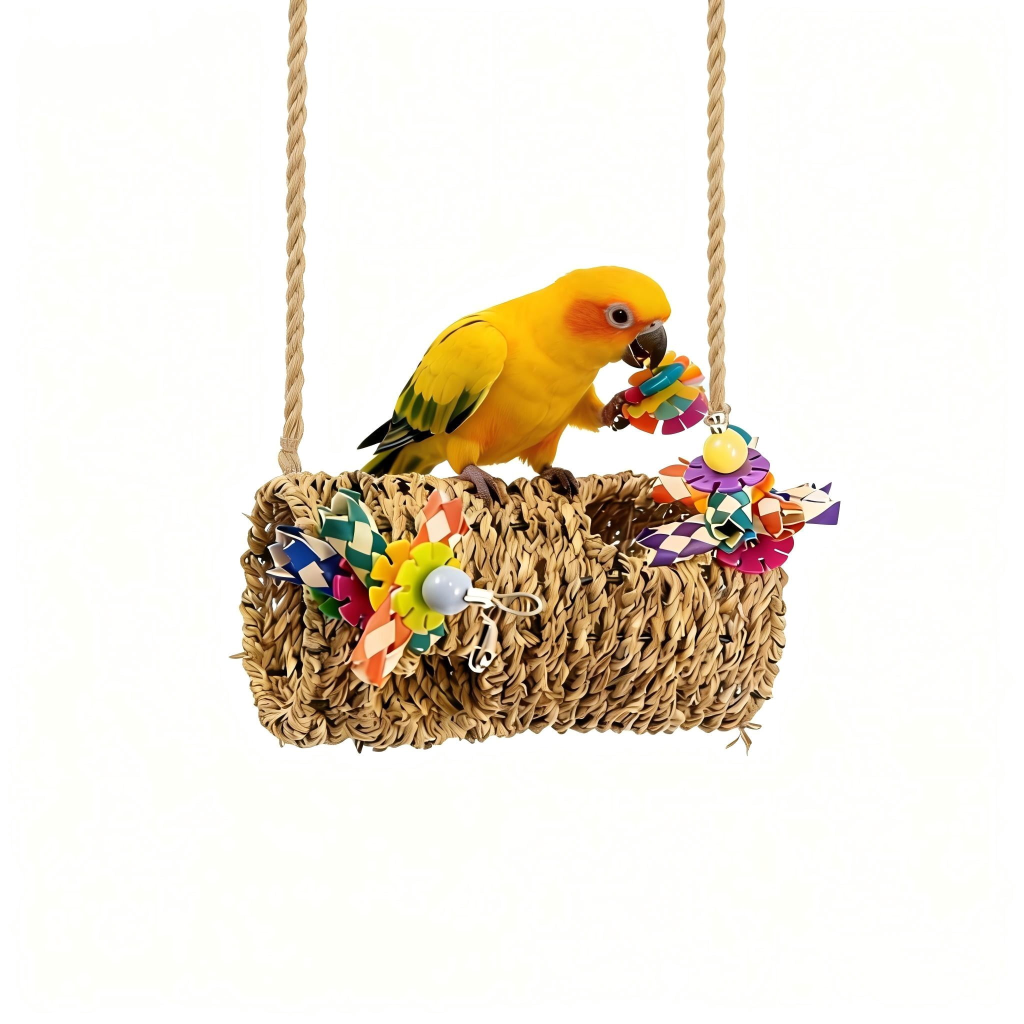 Bird Swing for Finches and Small Birds - Natural Rope Playground for ...