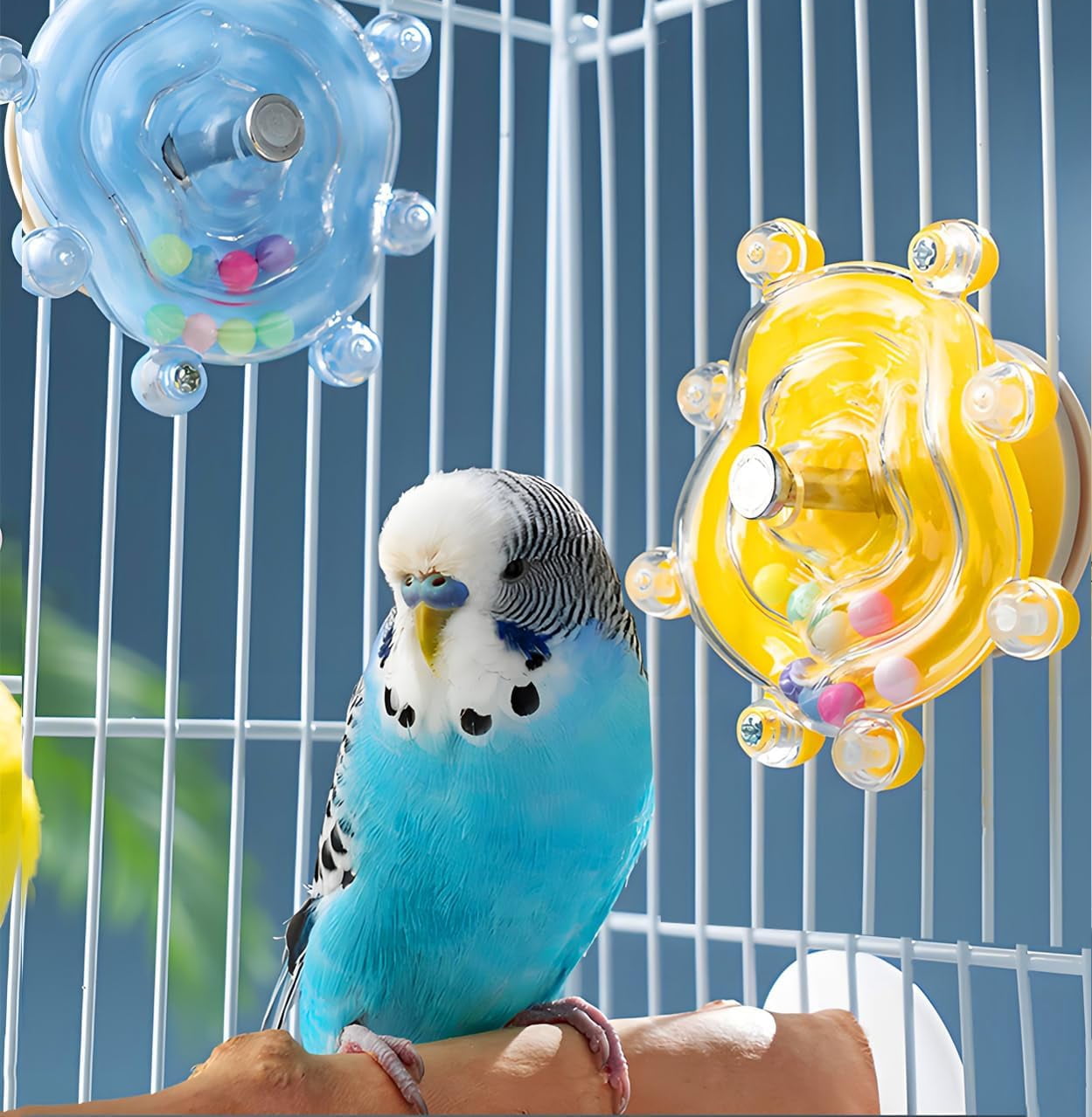Bird Toys, Conure Spinning Rotating Toy Parrot Rattle Cage Accessories ...