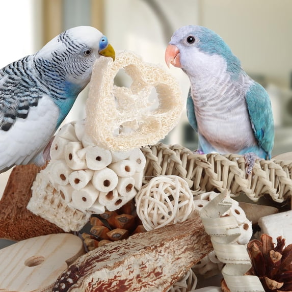 Bird Toys Natural Foraging Box Foot for Parakeets, Cockatiels, Conures ...