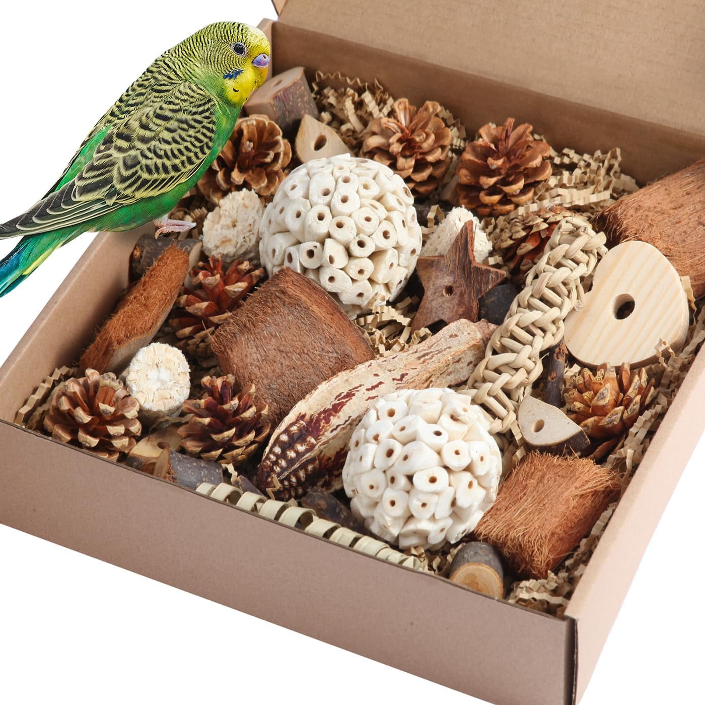 Bird Toys Parrot Toys Natural Bird Foraging Box Foot for Parakeets ...