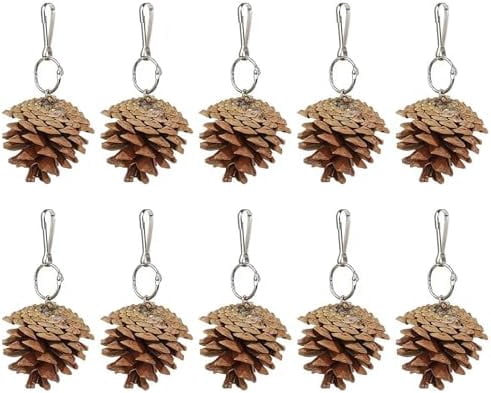 Bird Toys for Parrots,Natural Pine Cone Parrot Chew Toys,Wooden Parrot ...