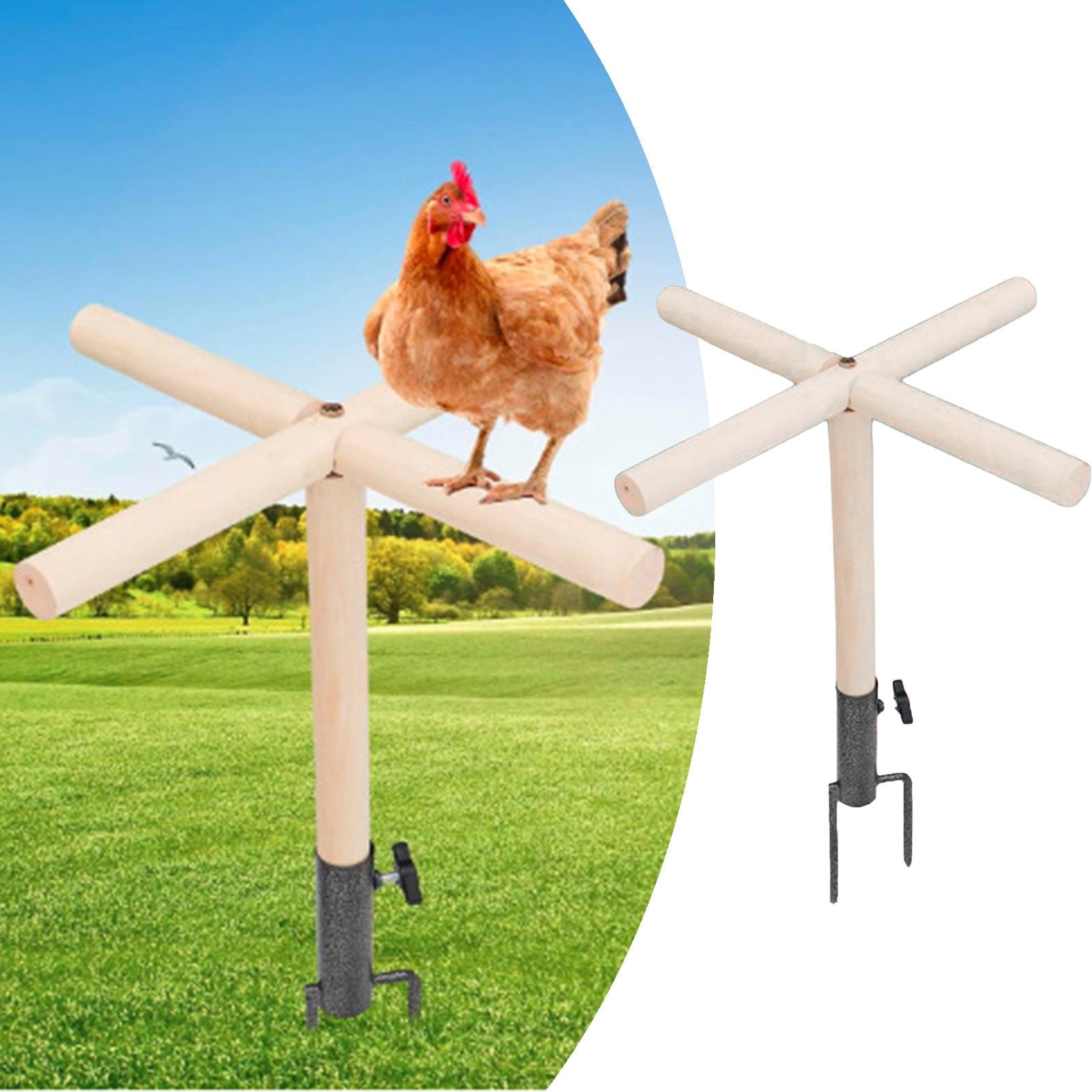Bird Training Wood Stand Outdoor Garden for Parrots Chickens Indoor ...