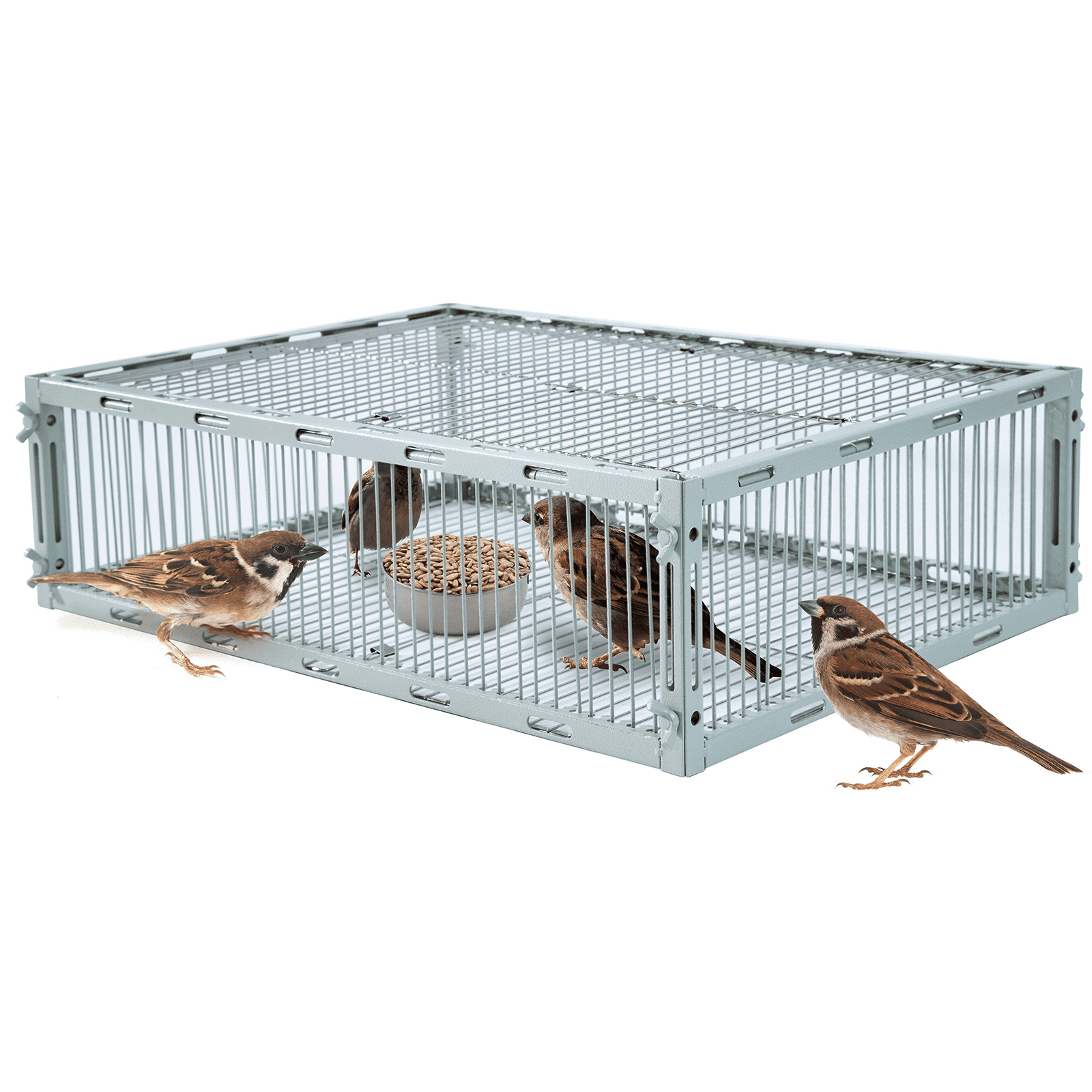 Bird Trap Cage with Escape-Proof,Bird Traps for Small Birds Live ...