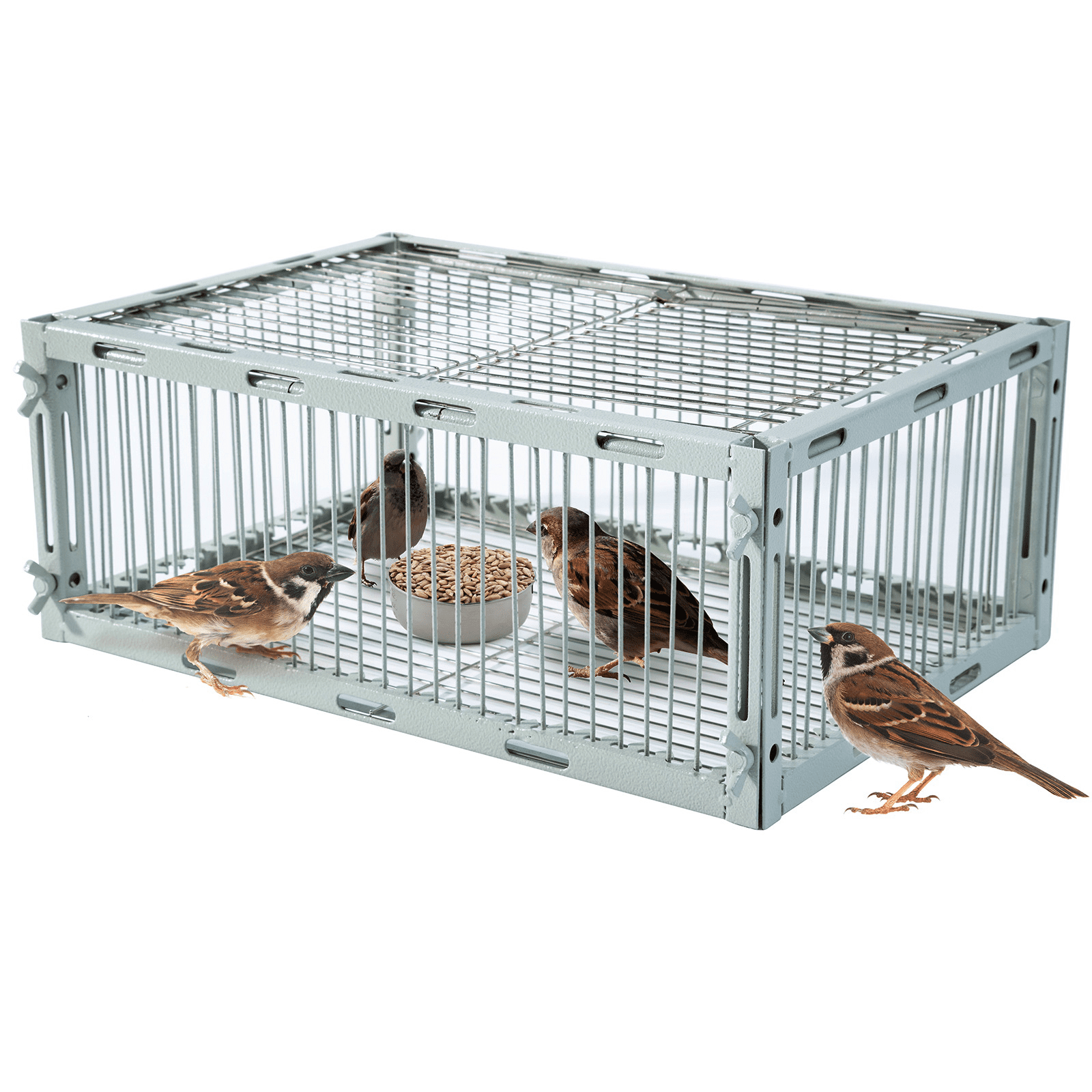 Bird Trap Cage with Escape-Proof,Bird Traps for Small Birds Live ...