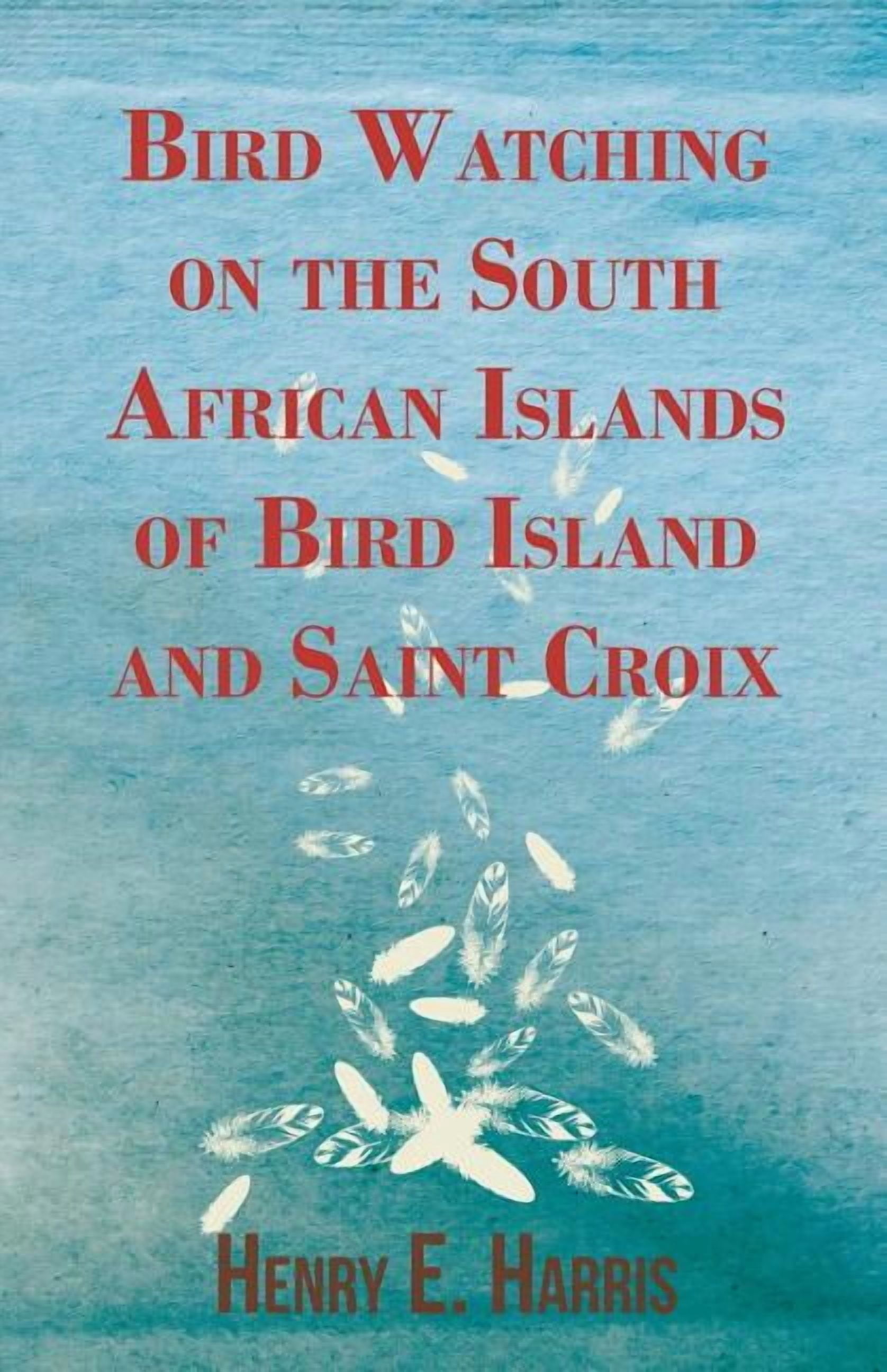 Bird Watching on the South African Islands of Bird Island and Saint ...
