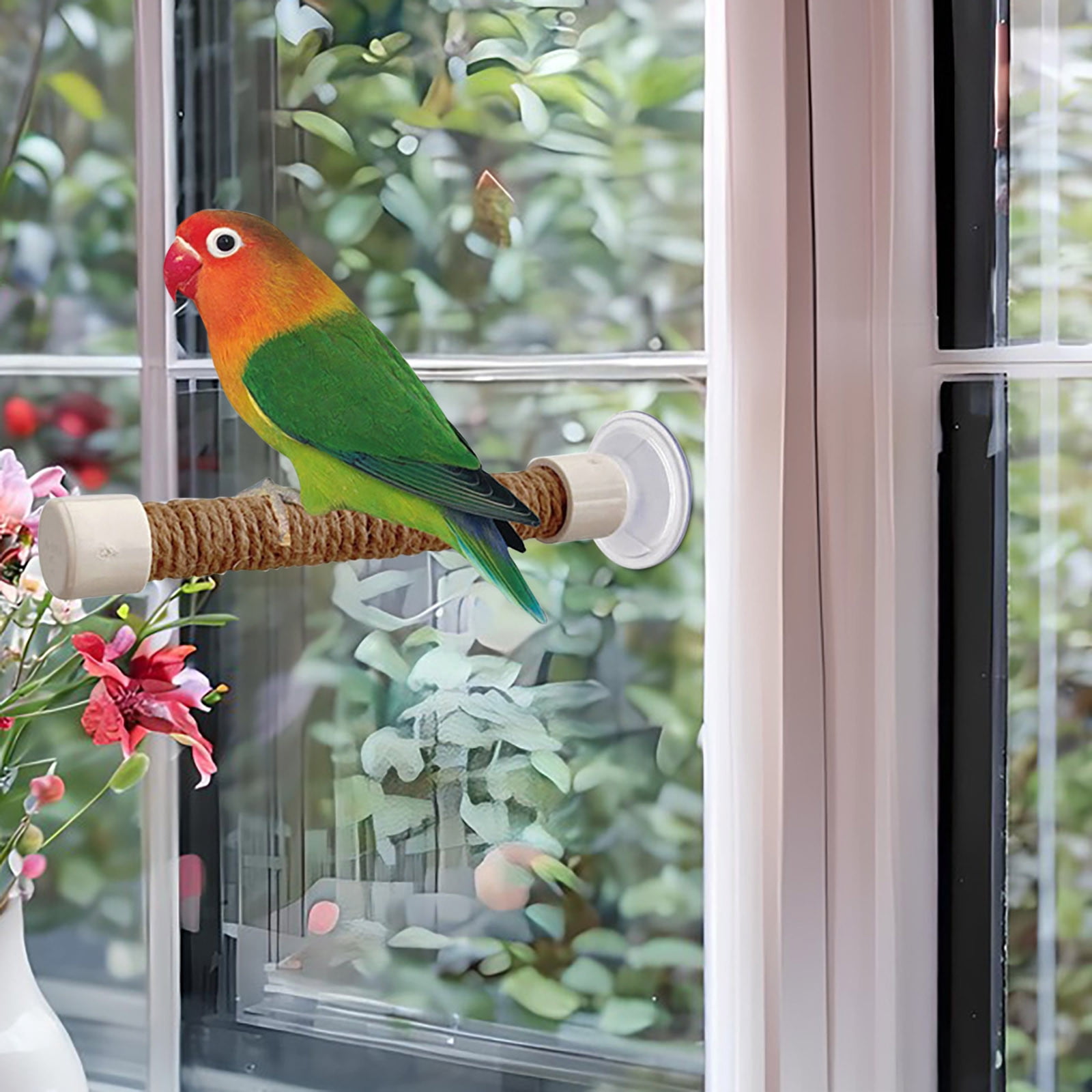 Bird Window Perch with Suction Cup for Small and Medium Birds, Natural ...