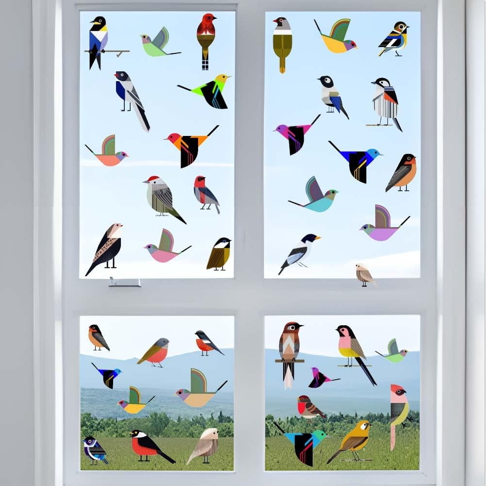 Bird Window Stickers Colorful Bird Window Decals Birds Window Floor ...